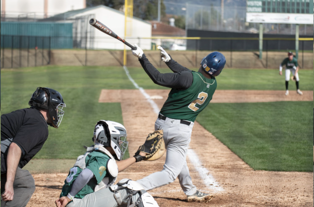 Rosters – Damien Baseball